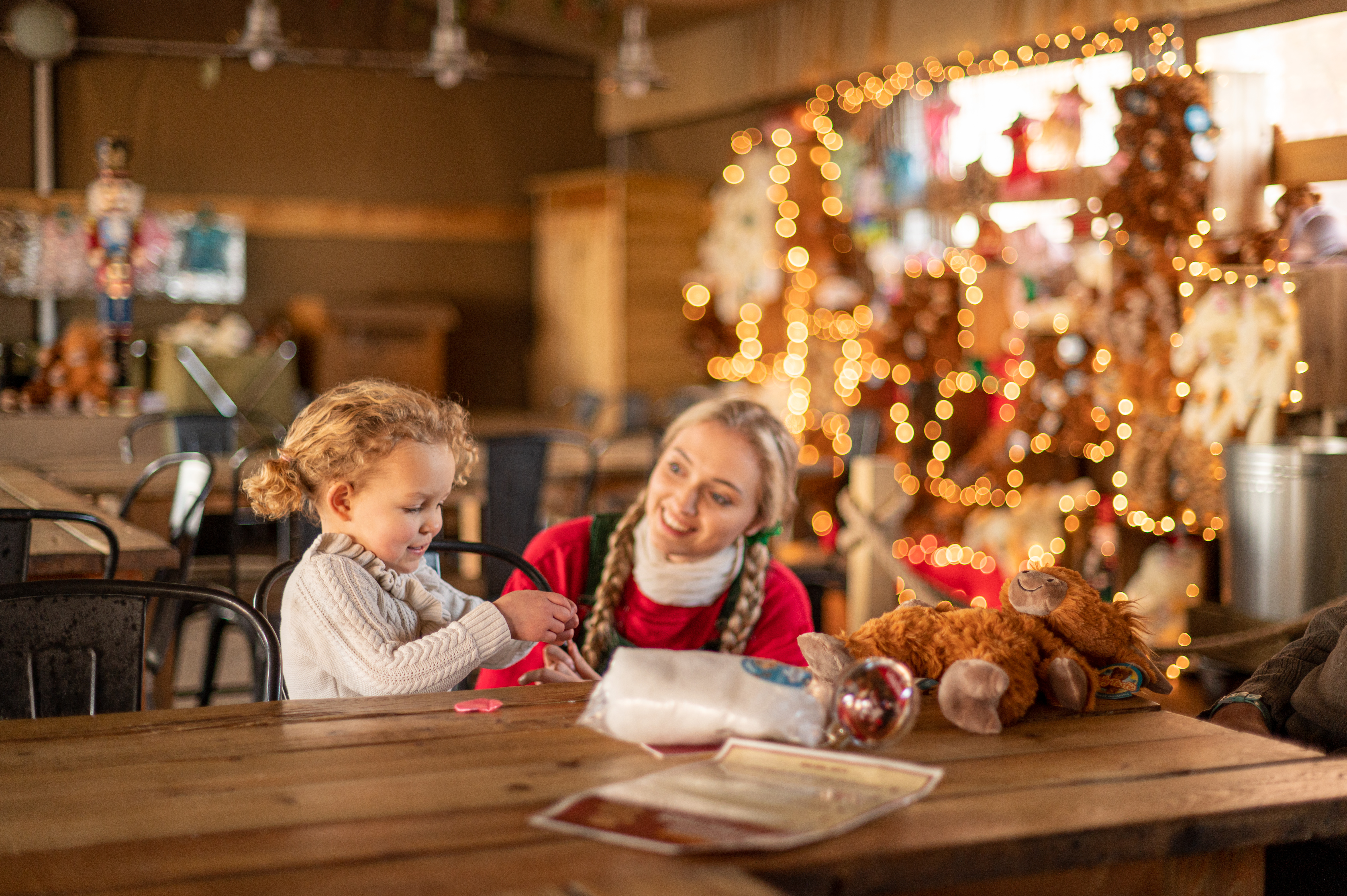 Meet Father Christmas Experience | Christmas on the Farm