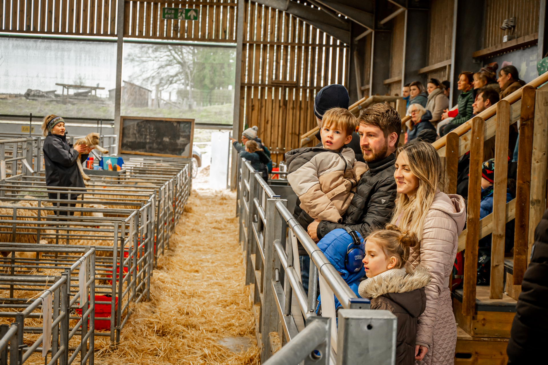 Cotswold Farm Park | Meet Over 50 Rare Breed Farm Animals