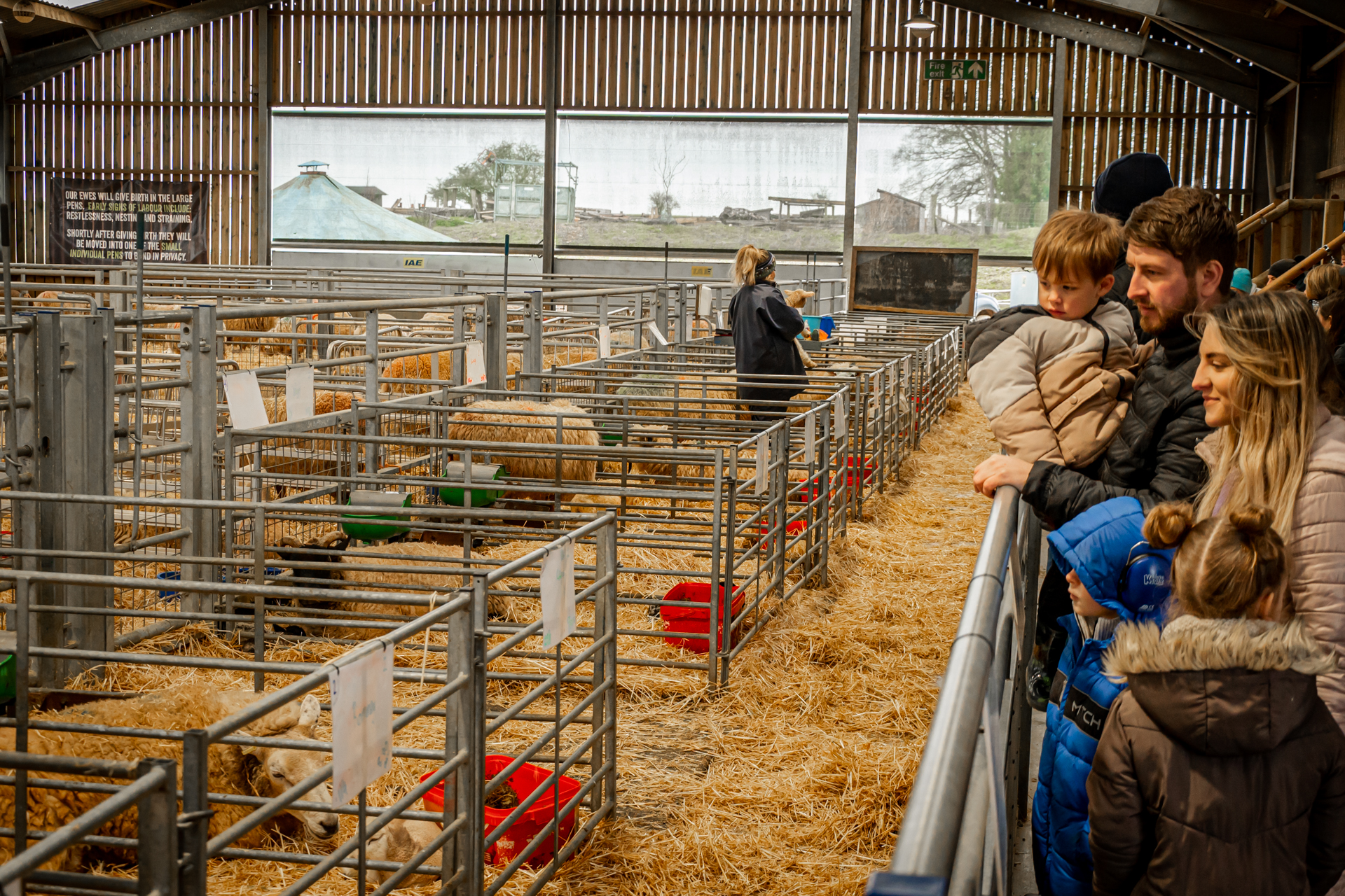 Award Winning Family Day Out | Cotswold Farm Park