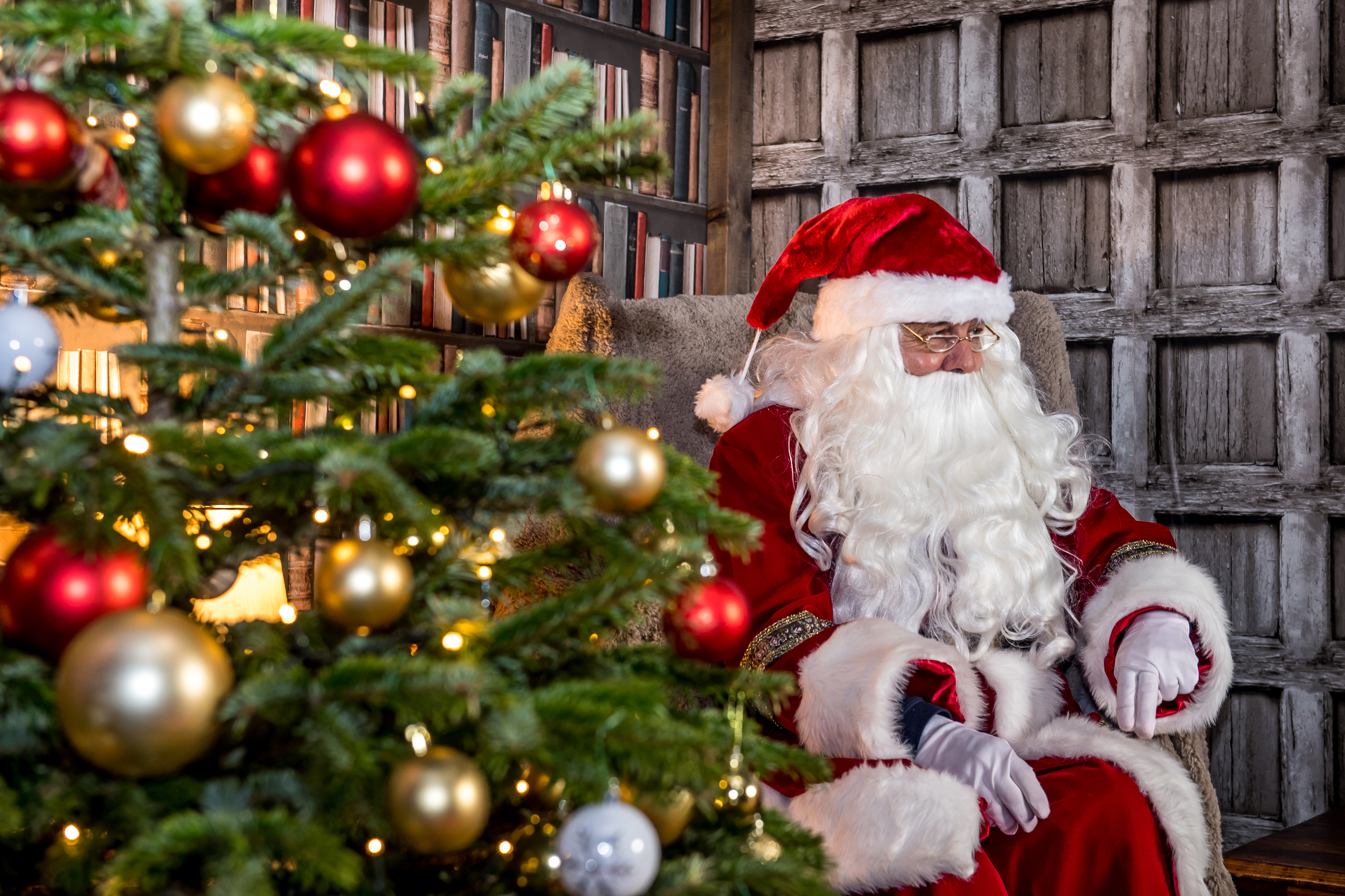 Cotswold Farm Park | Festive Family Fun For The Whole Family